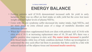 balancing fat nutrition to optimise transition cow performance animal ...