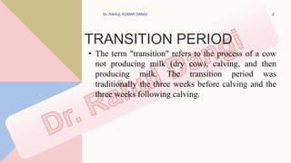 balancing fat nutrition to optimise transition cow performance animal ...
