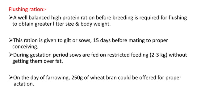 Feeding of Swine | PPTX