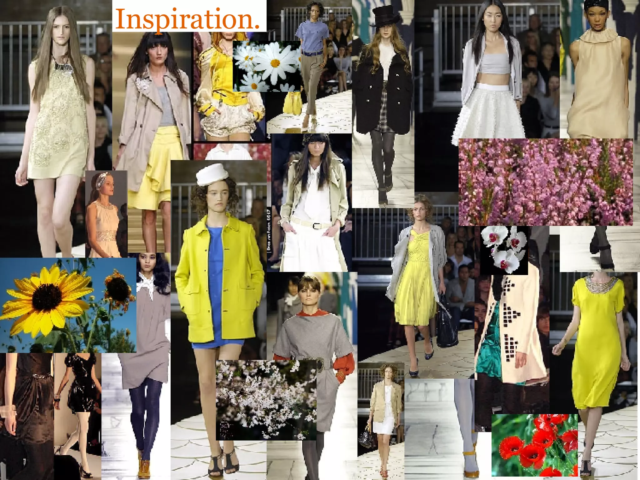 Anna Edwards' design | PPT