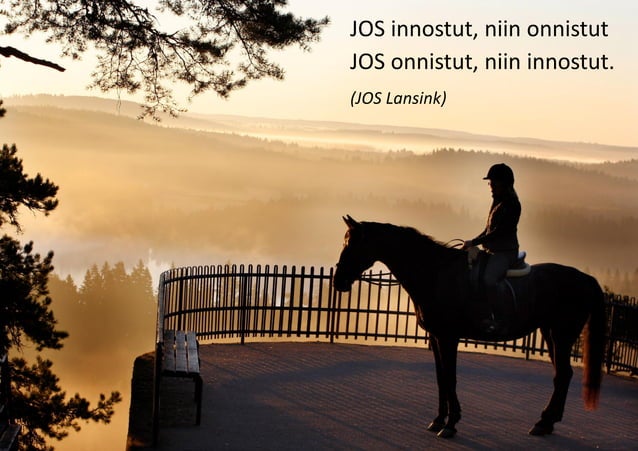 Anna-Mari Ahonen TERVE-SOS | PDF