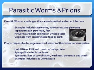 Types of Pathogens | PPTX