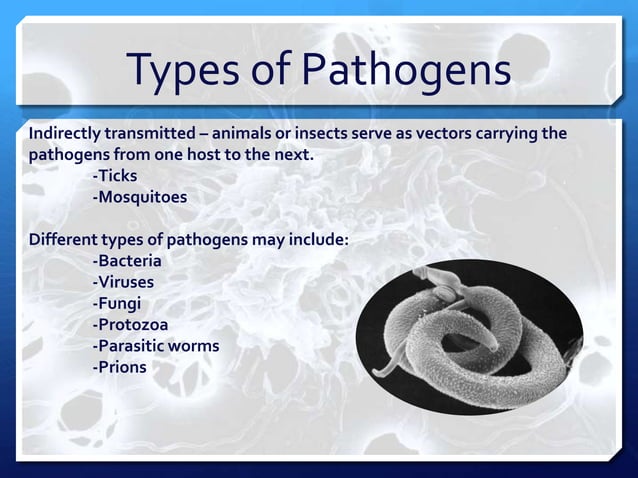 Types of Pathogens | PPT