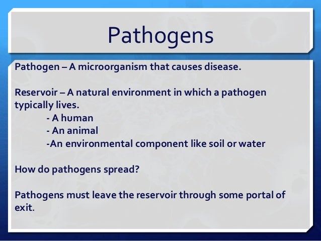 Types of Pathogens