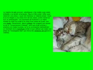els gats | PPT