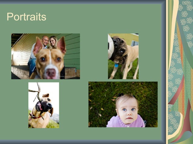 Anna Kuperberg Bio | PPT | Technology & Computing