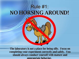 Anna.Laboratorysafety | PPT
