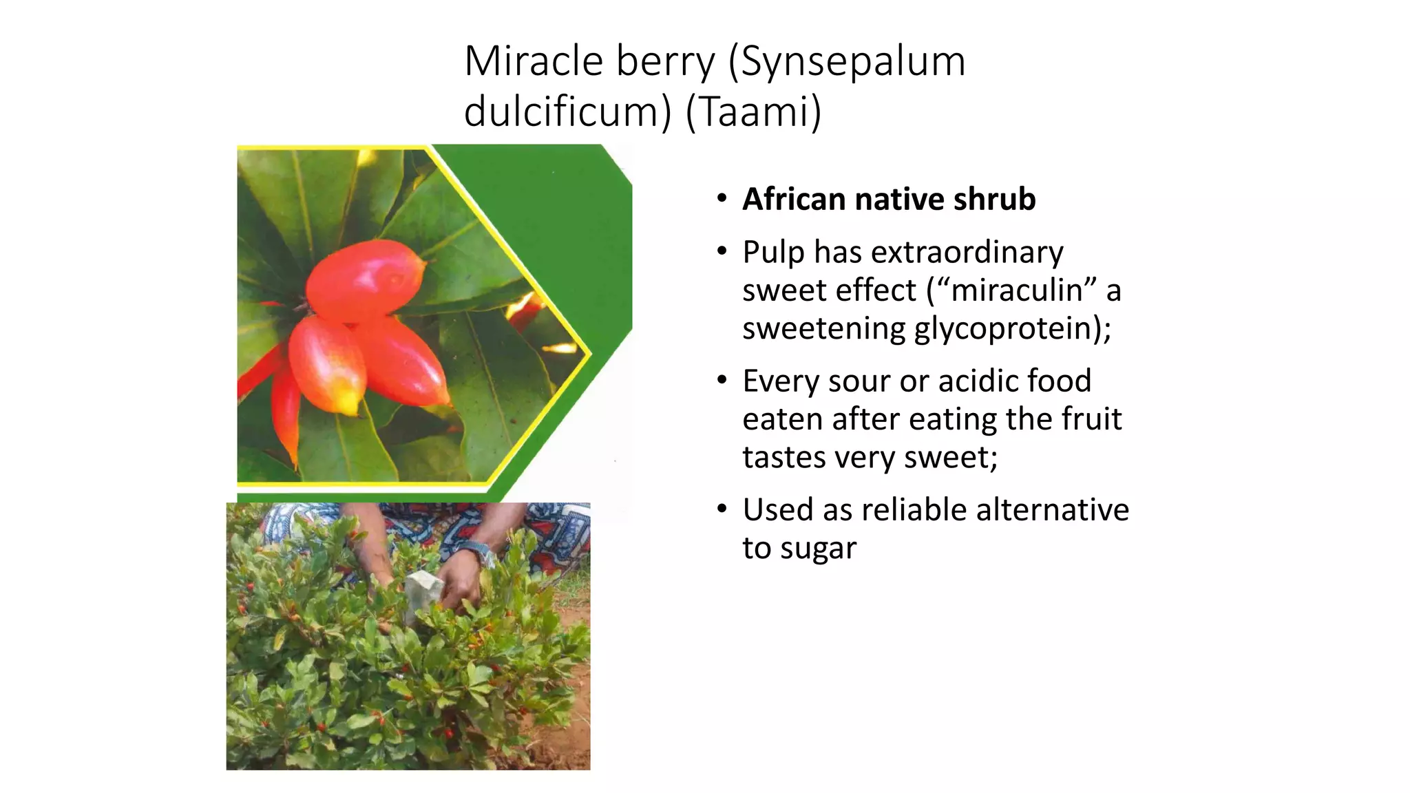 Traditional and Indigenous foods for Food systems transformation | PDF