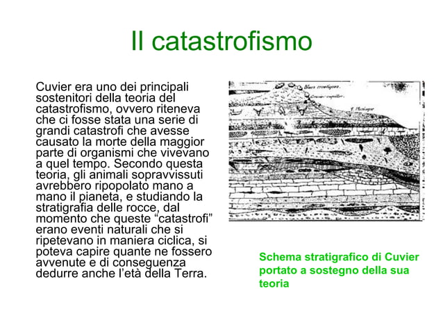 Anna Maria Pini | PPT