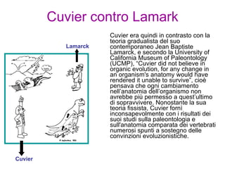 Anna Maria Pini | PPT