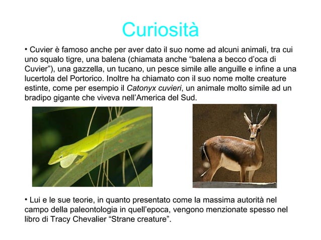 Anna Maria Pini | PPT