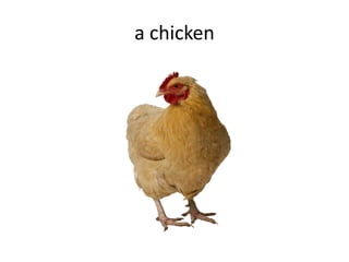 Anna pickard geekyfinal | PPT