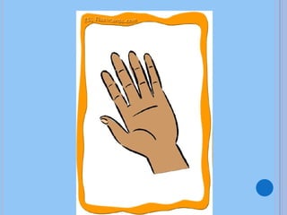 Body Flashcards | PPT