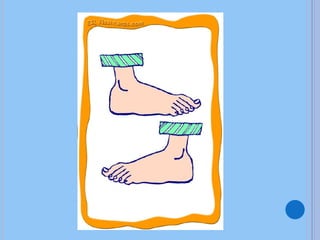 Body Flashcards | PPT