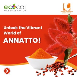 Annatto Seed Powder, Annatto Food Color Manufacturer - Vinayak ...
