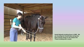 Anna Wise and Linda Tellington-Jones EEG Study with Horses and Humans ...