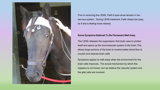 Anna Wise and Linda Tellington-Jones EEG Study with Horses and Humans ...