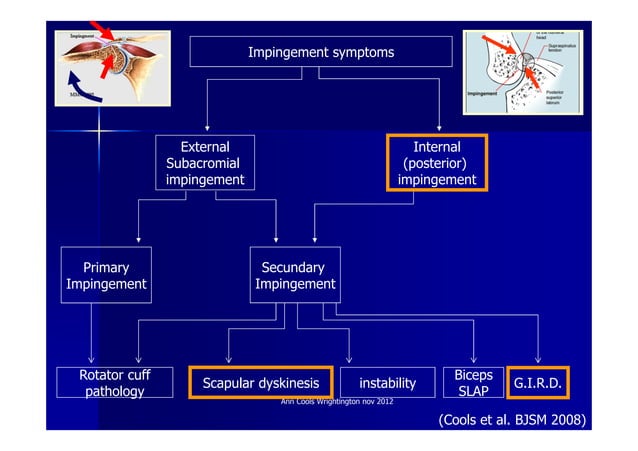 Ann cools 2 internal impingement [compatibiliteitsmodus] | PDF | Death ...
