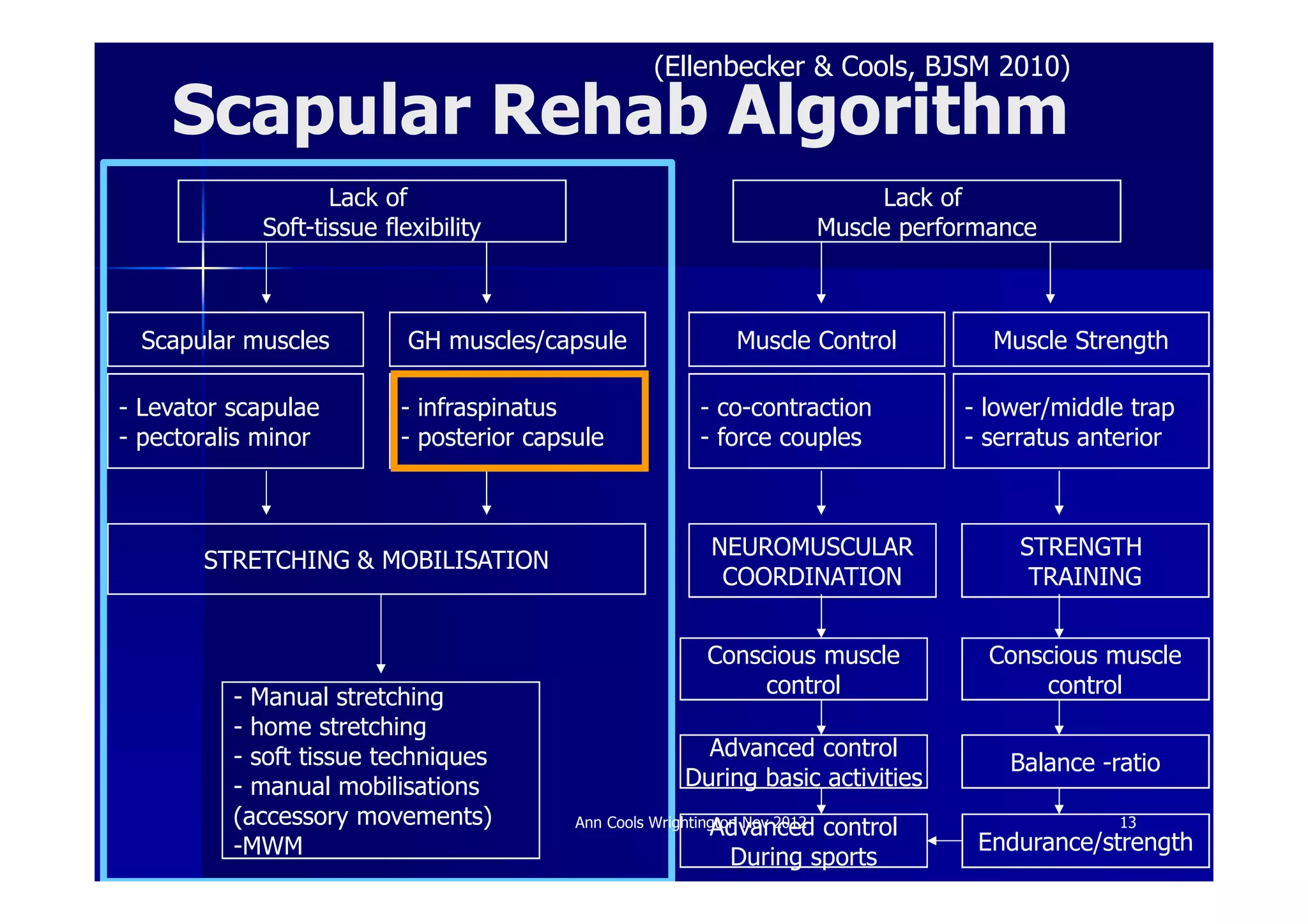 Ann cools 3 scapular rehab [compatibiliteitsmodus] | PDF
