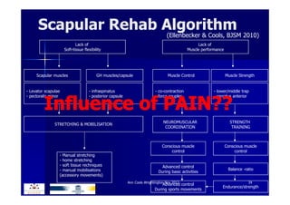 Ann cools 3 scapular rehab [compatibiliteitsmodus] | PDF