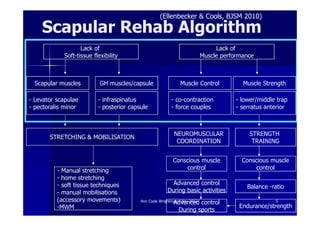 Ann cools 3 scapular rehab [compatibiliteitsmodus] | PDF