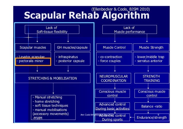Ann cools 3 scapular rehab [compatibiliteitsmodus]