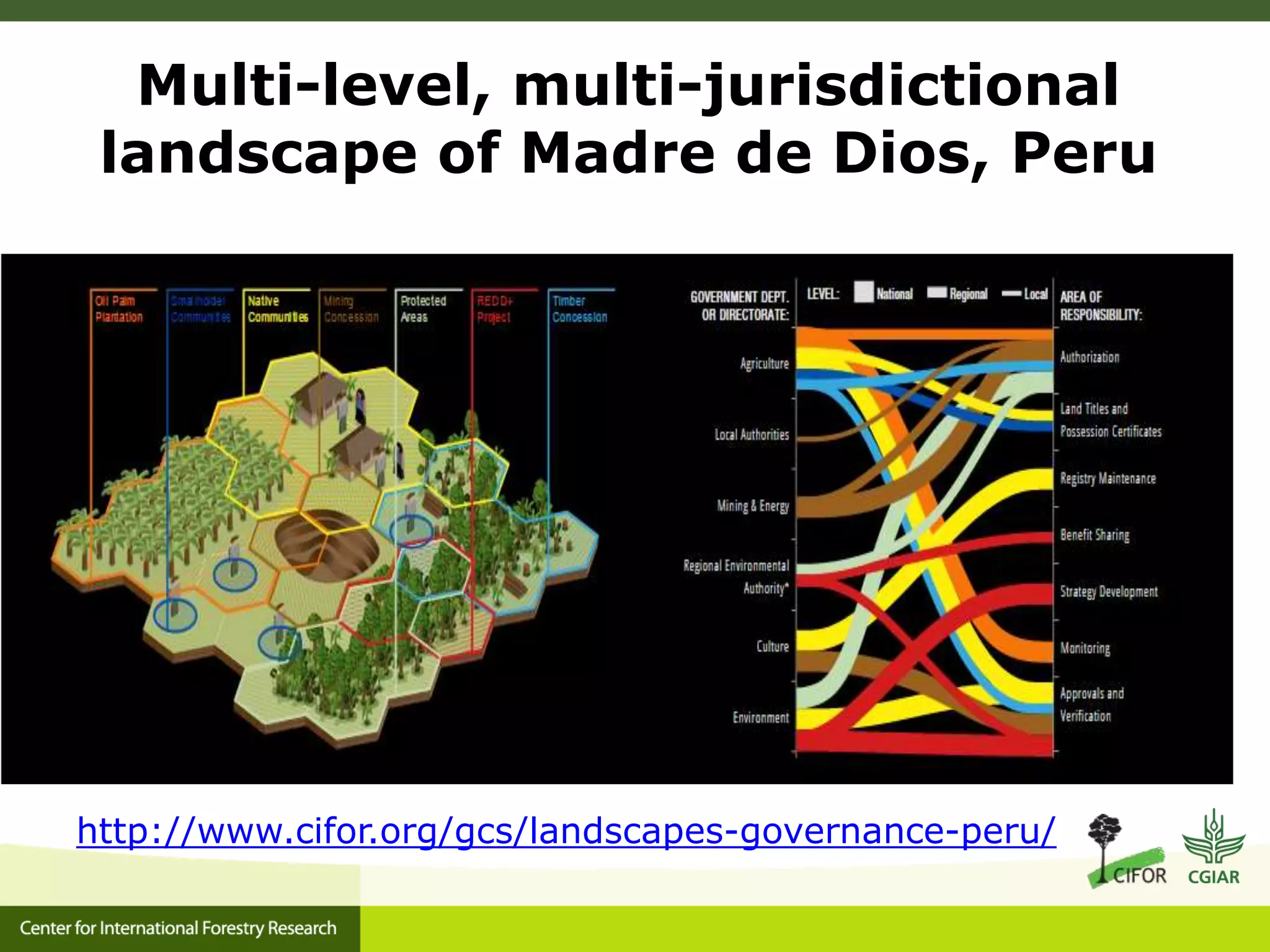 A multilevel governance perspective on REDD+ | PPT
