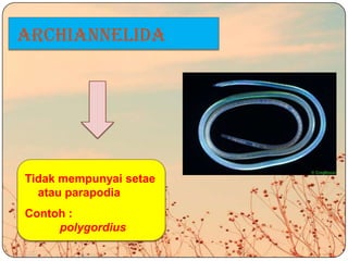 Annelida | PPTX
