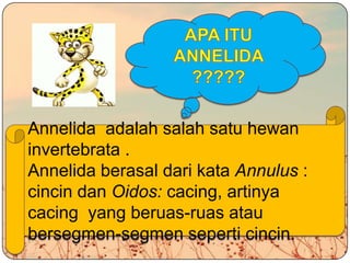 Annelida | PPTX