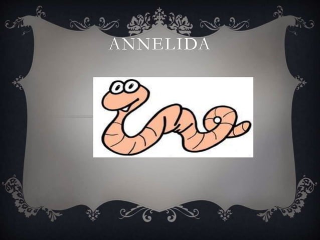 Annelida | PPTX