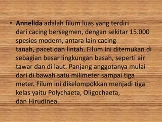BIOLOGI SMA KELAS 10 ANIMALIA Annelida | PPTX