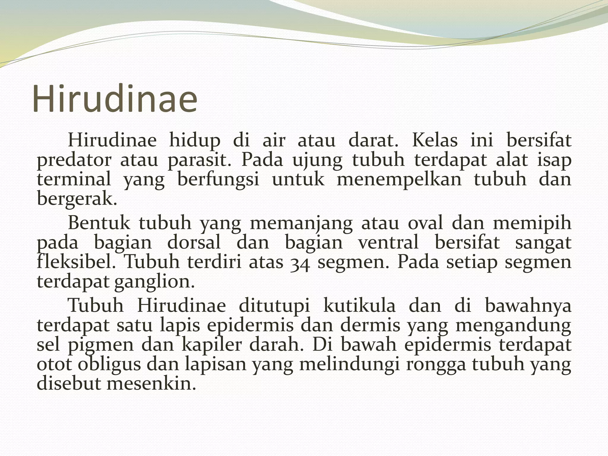 Annelida | PPT | Free Download