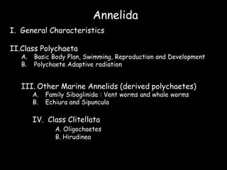 Annelida | PDF