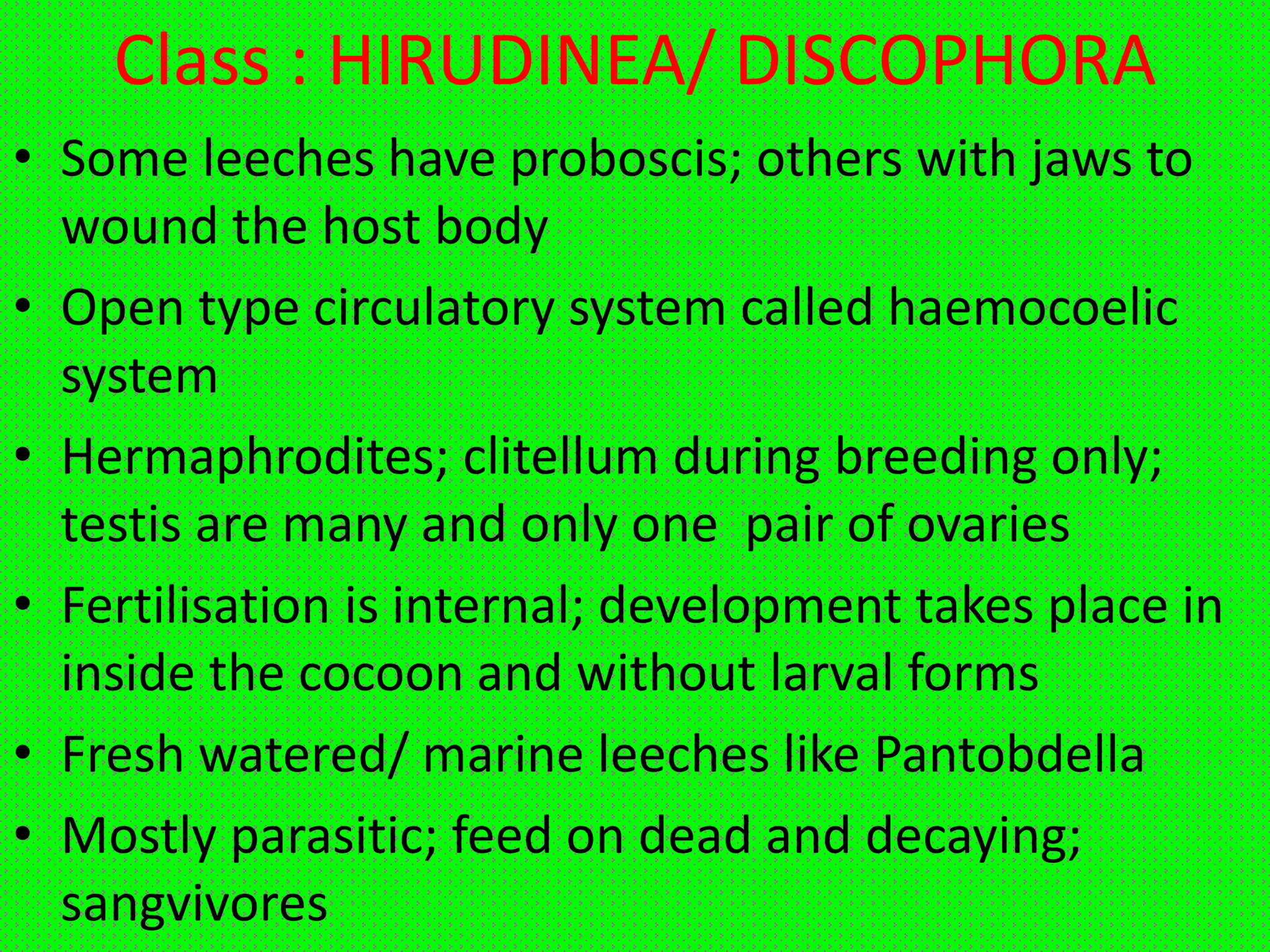 Annelida- General Characters and classification | PPTX