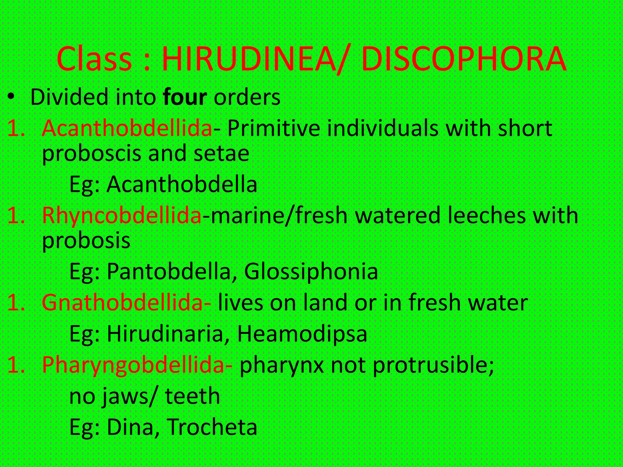 Annelida- General Characters and classification | PPTX