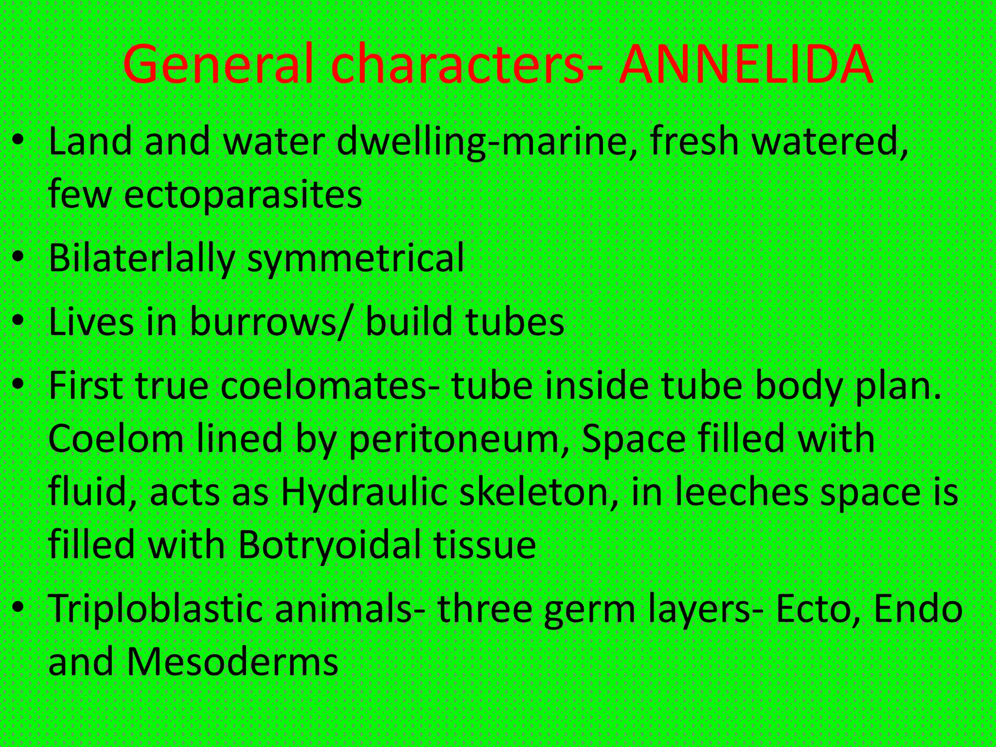 Annelida- General Characters and classification | PPTX