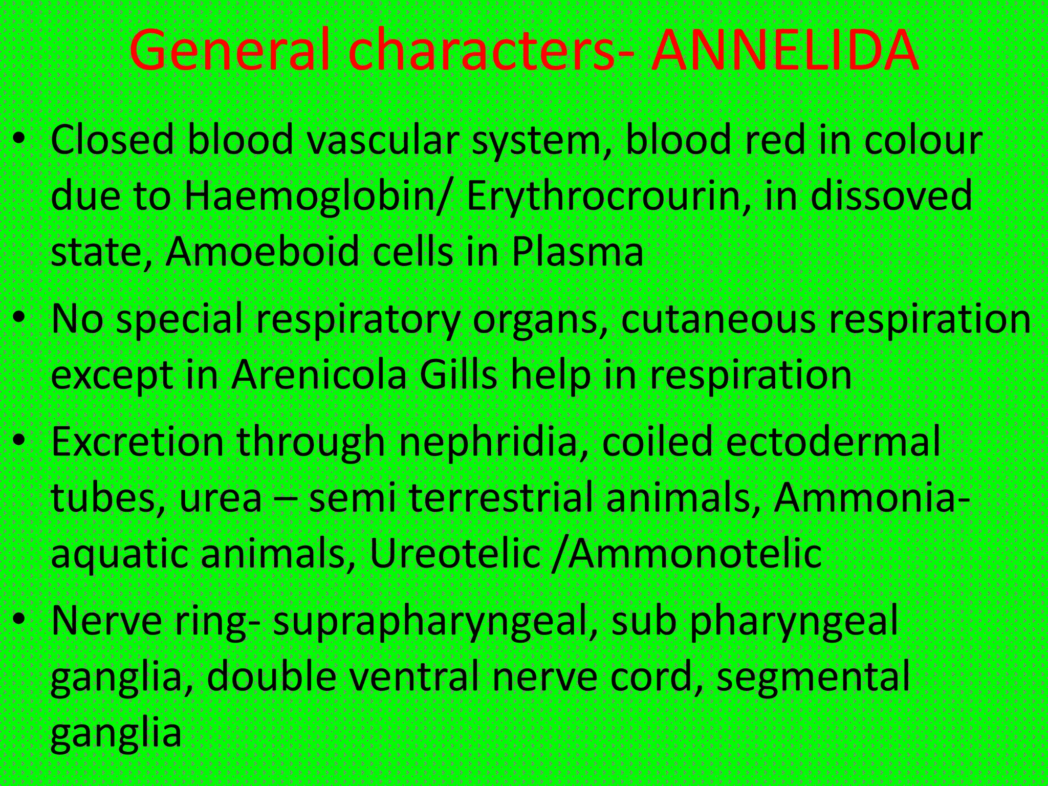 Annelida- General Characters and classification | PPTX