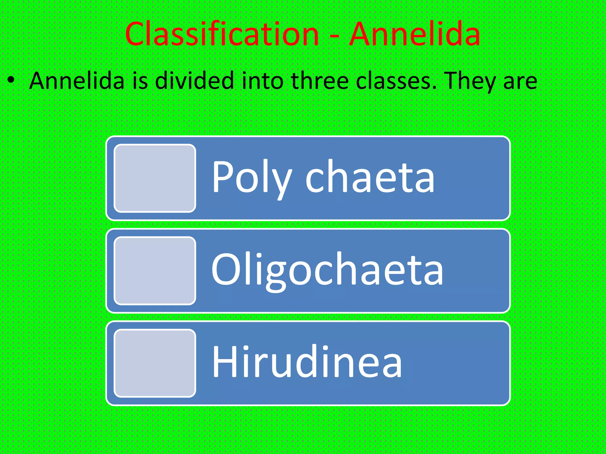 Annelida- General Characters and classification | PPTX