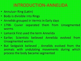 Annelida- General Characters and classification | PPTX