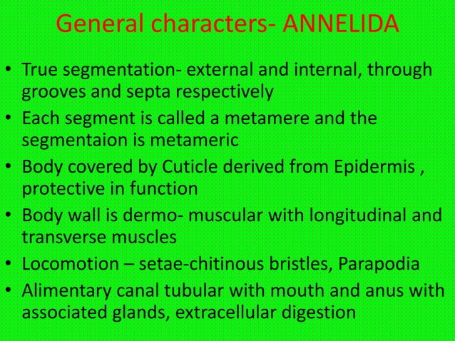Annelida- General Characters and classification | PPTX | Biological ...