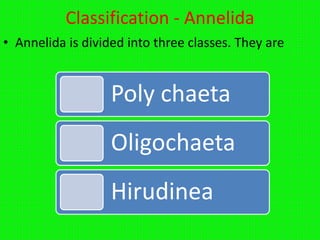 Annelida- General Characters and classification | PPTX