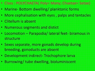 Annelida- General Characters and classification | PPTX