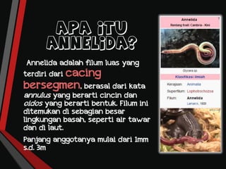 Annelida | PDF