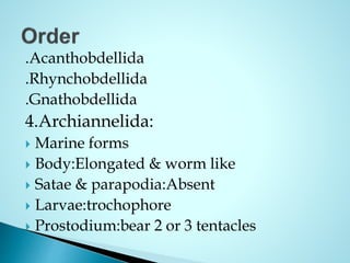 Basic Concept Of Annelida Phylum | PPTX | Digestive Disorders ...