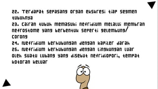 FILUM Annelida | PPTX
