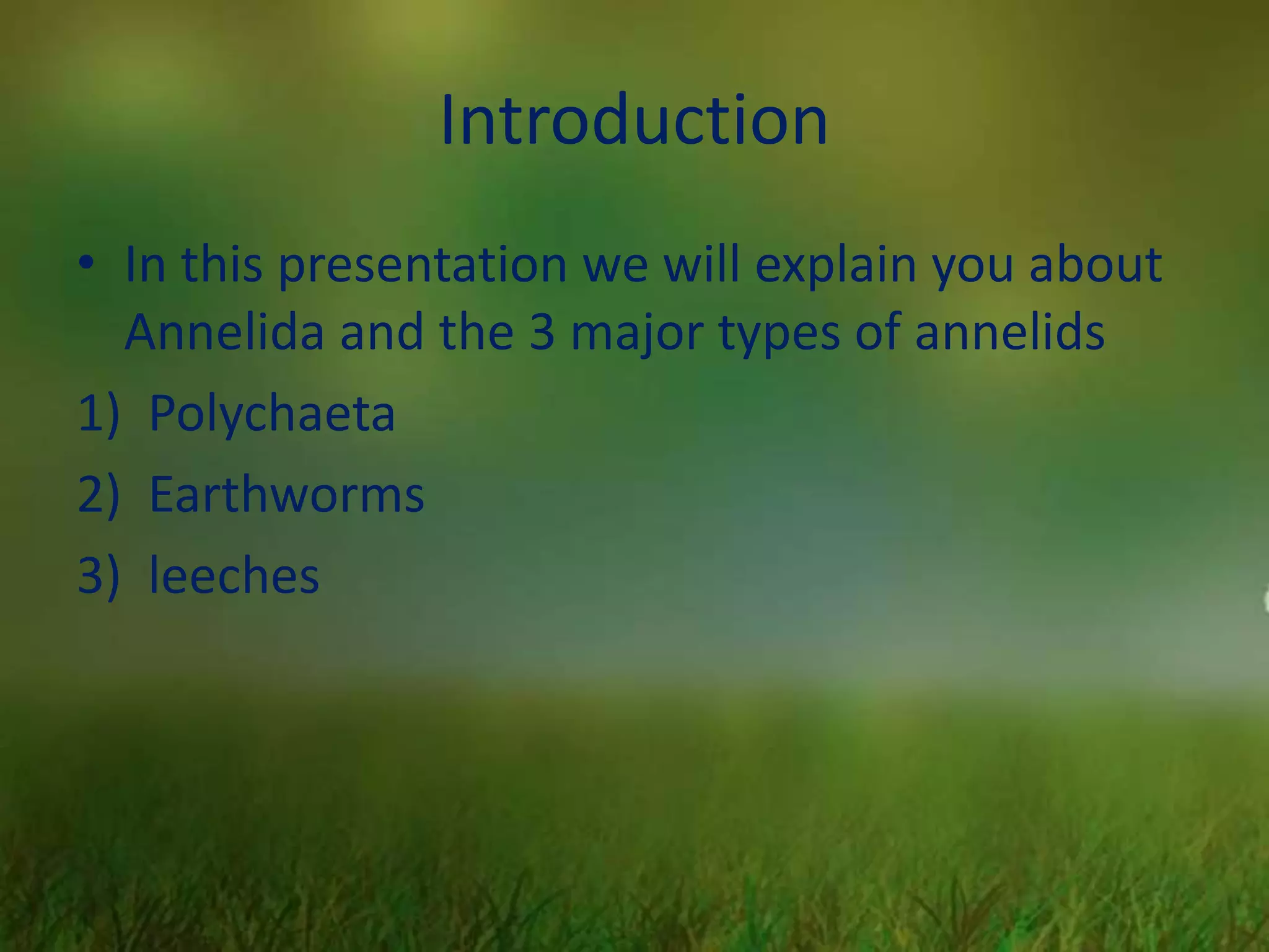Annelida(segmented worms) | PPTX