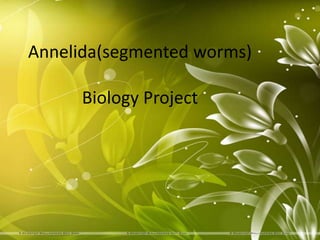 Annelida(segmented worms) | PPTX