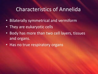 Annelida(segmented worms) | PPTX