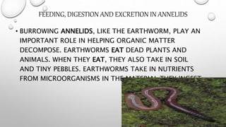 annelids.pptx