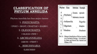 ANNELIDS.pptx by Simoni Singhal PhD Research Scholar | PPTX